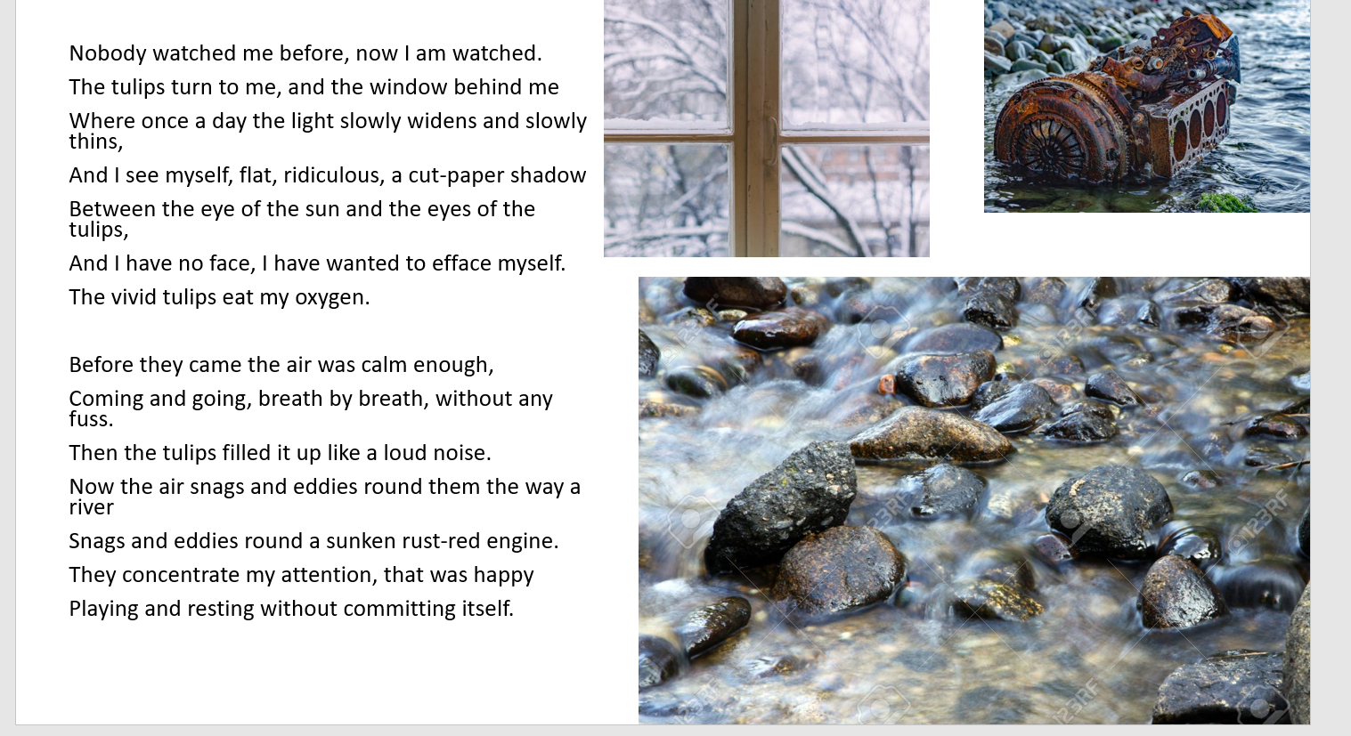 Cambridge A-Level English Literature: POETRY: Sylvia Plath | Teaching ...