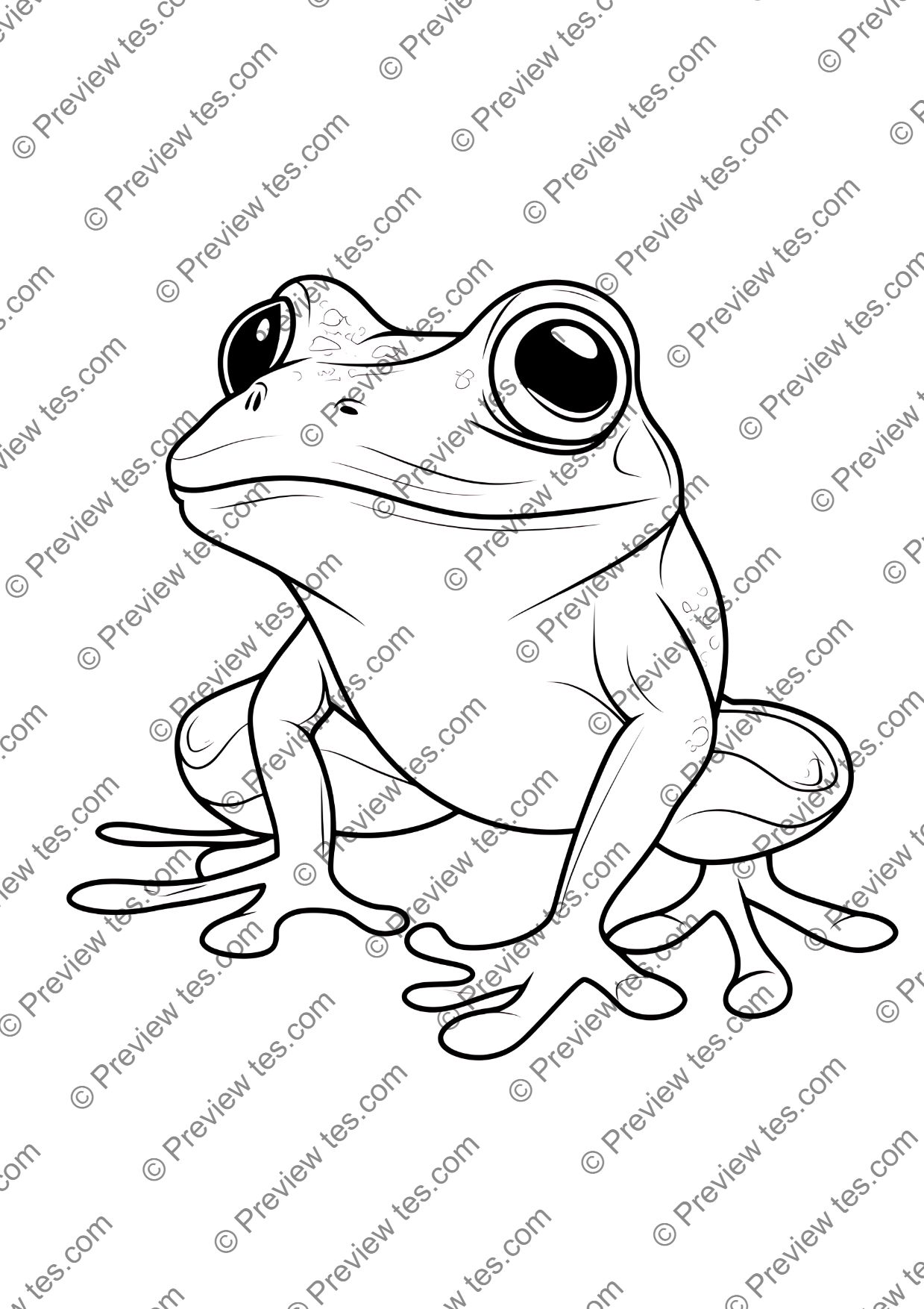 70 Frog Colouring Pages | Amphibian Activity Sheets | Science Nature ...