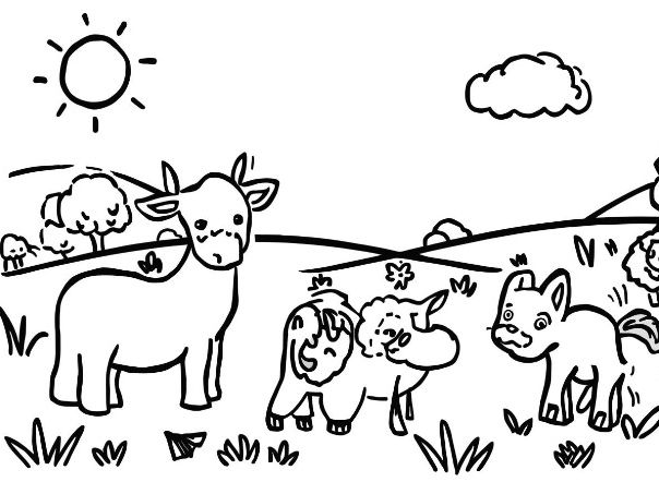 Colouring for EYFS | Teaching Resources