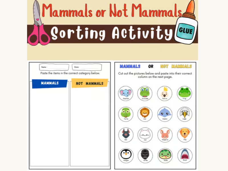 Mammals or Not Mammals Sorting Activity: Animal Classification ...