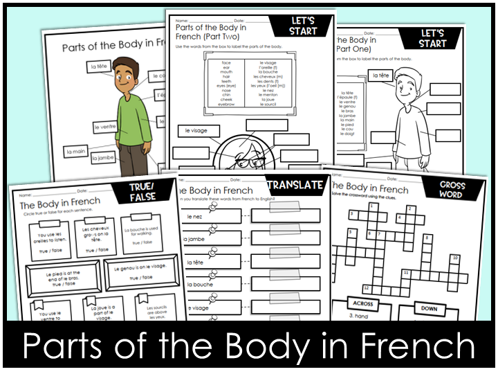 Beginner French Parts of the Body Vocabulary Les Parties du Corps ...