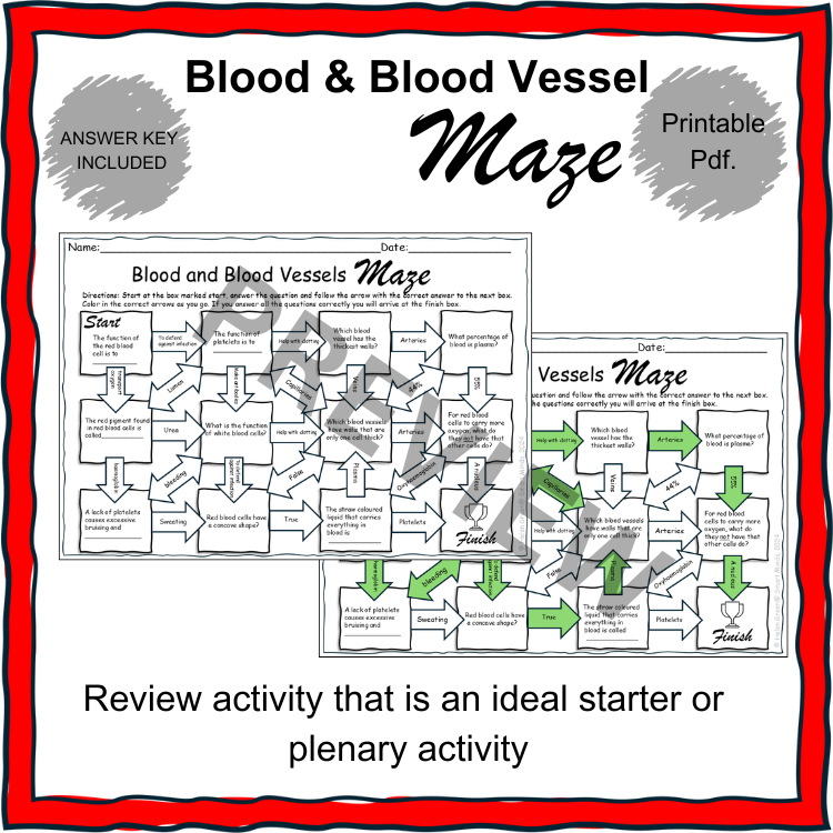 BLOOD AND BLOOD VESSEL REVIEW MAZE WORKSHEET *PRINTABLE* | Teaching ...