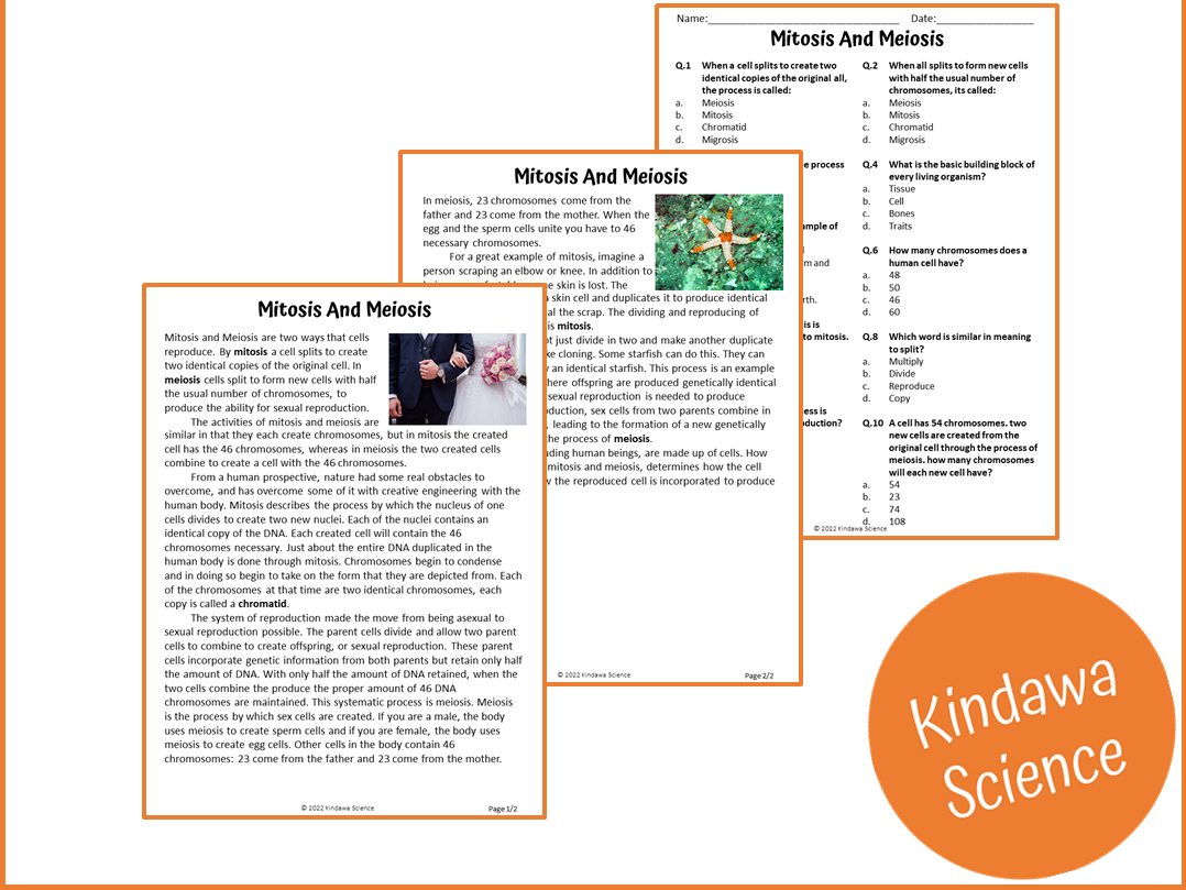 Comparing Mitosis And Meiosis Mitosis Reading Comprehension Worksheet