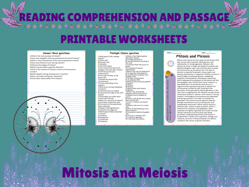 Understanding Mitosis and Meiosis: Key Concepts and Interactive ...