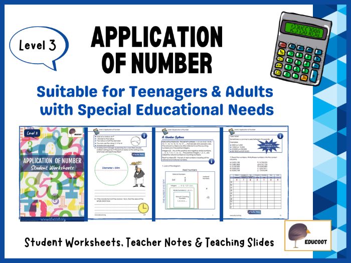 Level 3 Application Of Number Teaching Resources