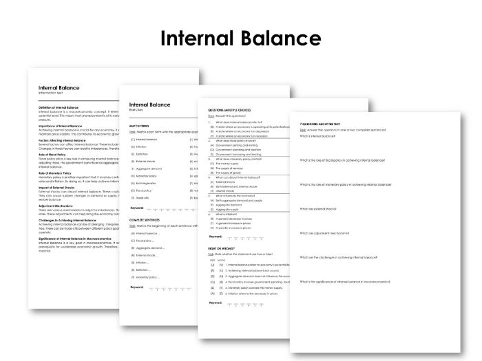 Internal Balance | Teaching Resources