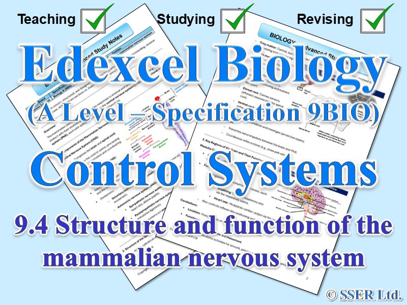 BIOA_EDX Topic Notes: 9.4 Structure and function of the mammalian ...