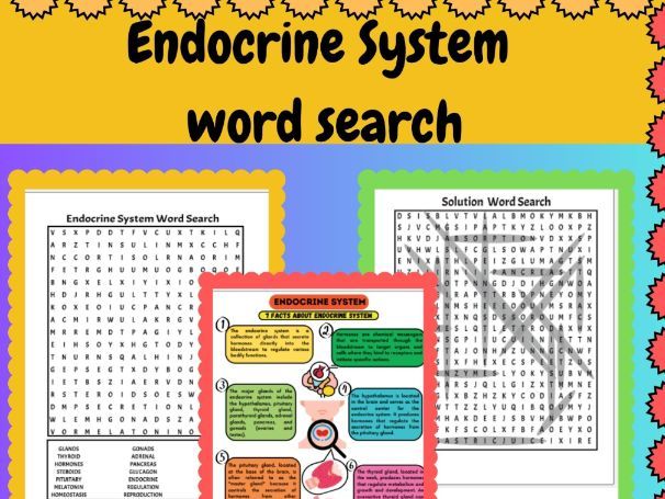 Human Body Systems | Endocrine System | Facts and Word Search ...