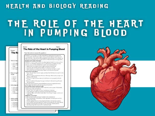 The Role of the Heart in Pumping Blood - Health Reading Worksheet ...