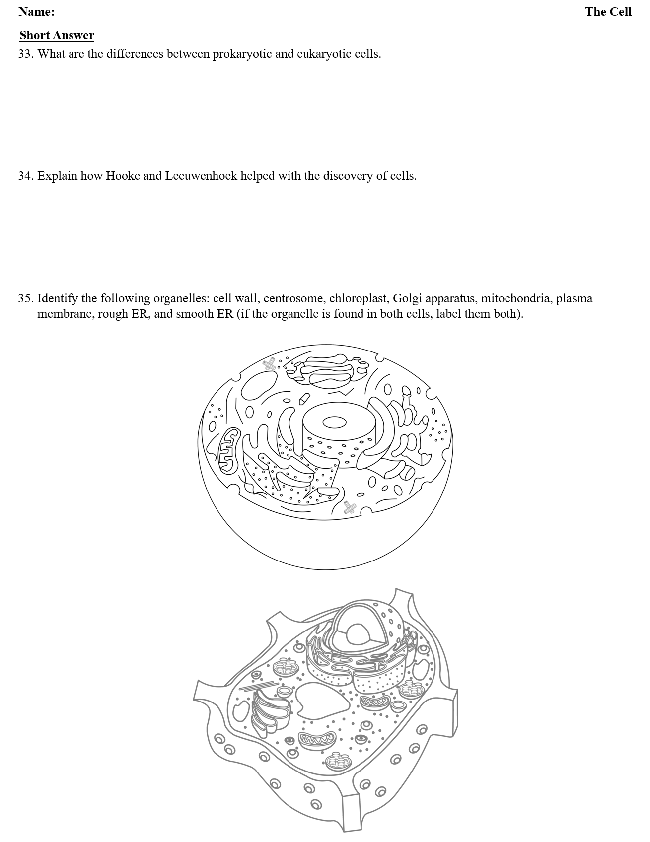 The Cell Test, Review Questions, and Answer Keys | Teaching Resources