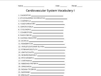 Cardiovascular System Vocabulary I Word Scramble for Medical ...