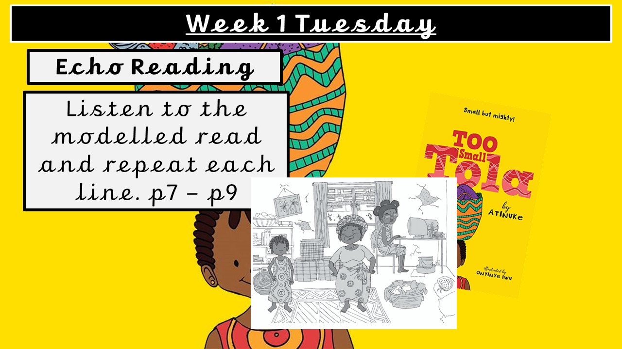 Whole Class Reading Year 3 Year 2 - Too Small Tola | Teaching Resources