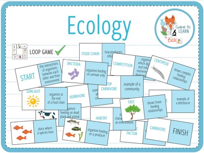 Ecology - Loop Game (KS3/4) | Teaching Resources