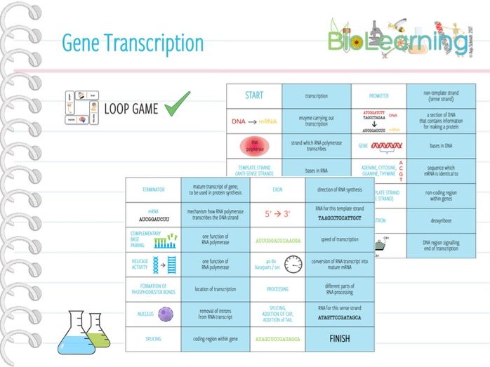 Transcription - Loop Game (KS5) | Teaching Resources