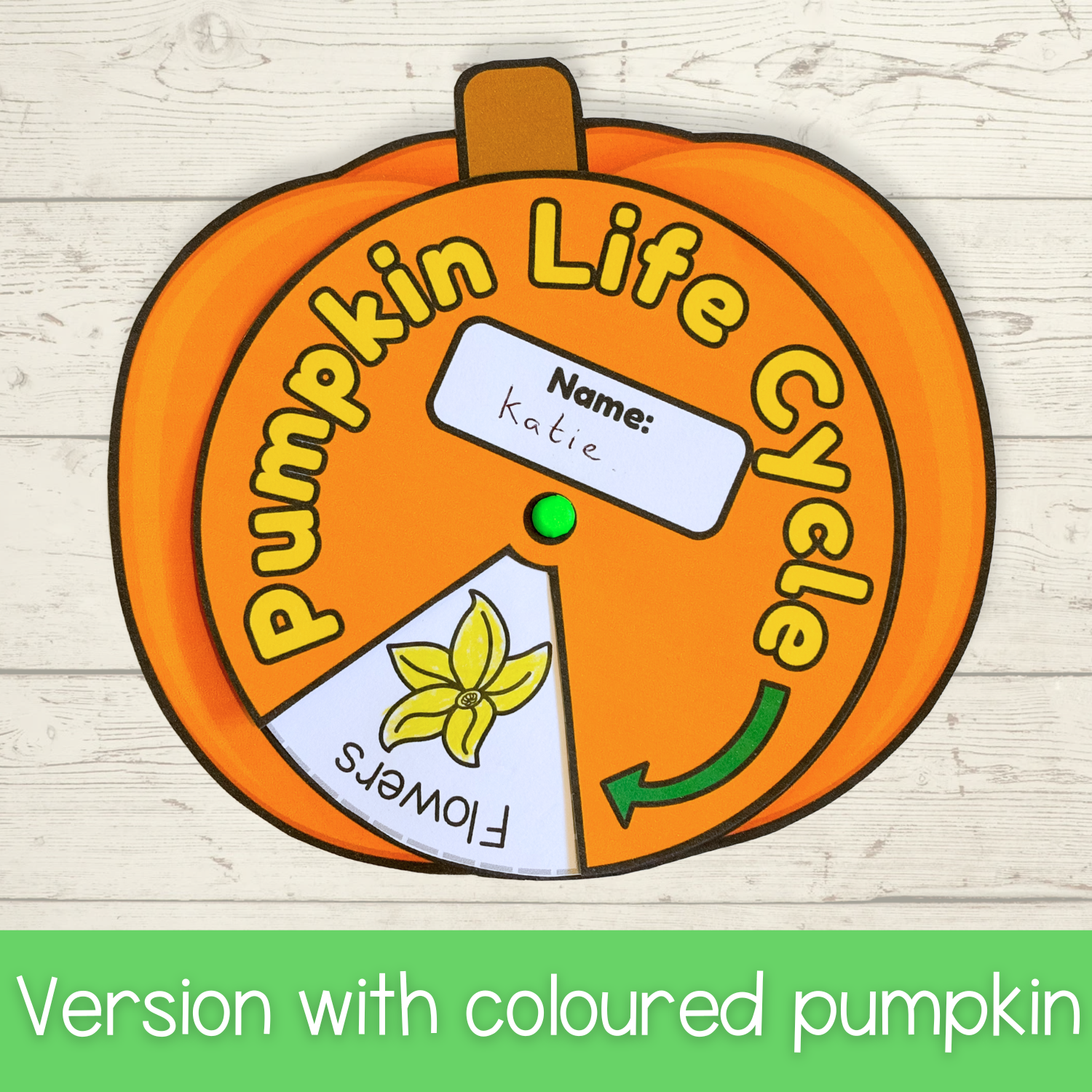 Life cycle of a pumpkin spinner wheel sequencing activity autumn ...