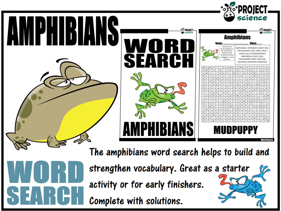 Amphibians Word Search Teaching Resources
