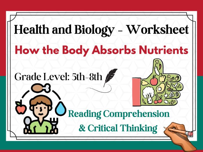 How the Body Absorbs Nutrients: Reading Comprehension Passages ...