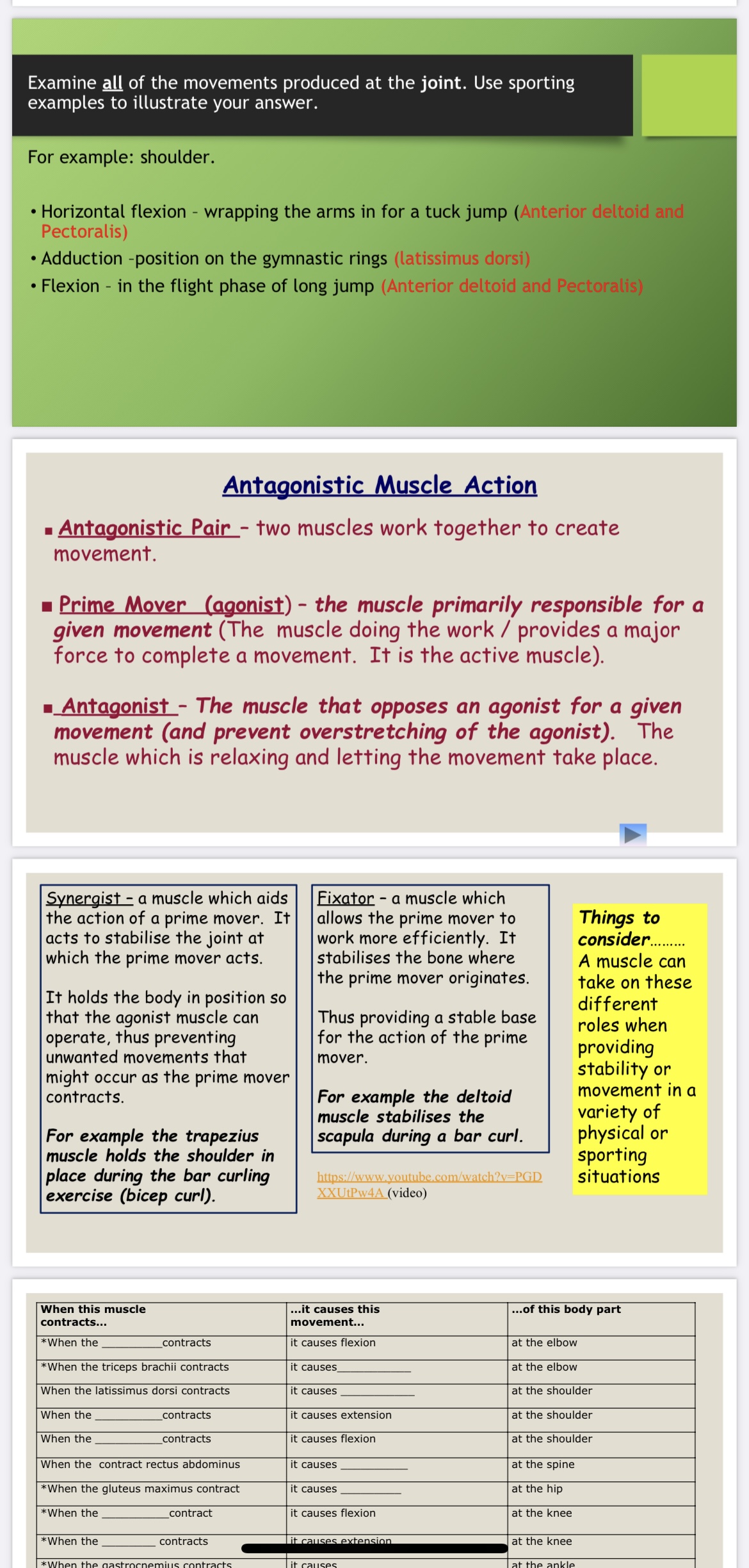Bundle of PP - Skeletal- Muscular and Neuromuscular systems | Teaching ...
