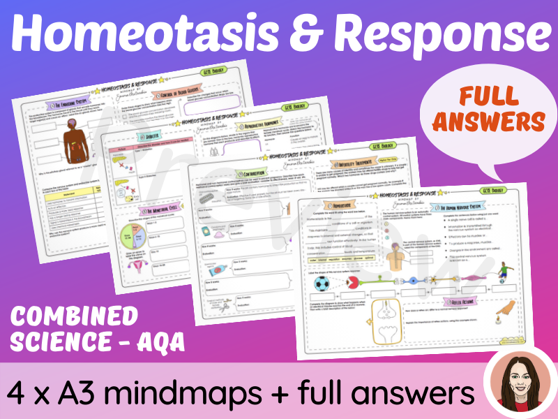 Middle School Teaching Resources: 6th, 7th, 8th Grade | Tes