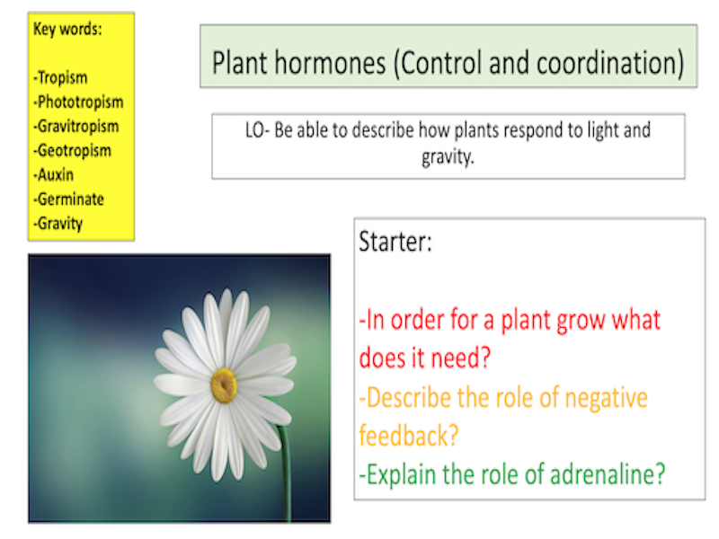 Mr Science - Teaching Resources - TES