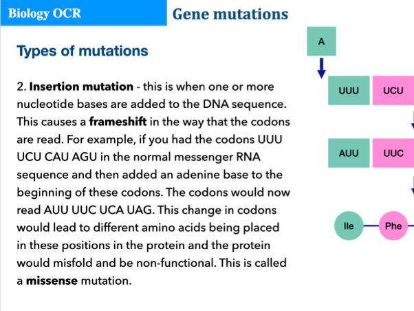 OCR A level Biology Gene mutations PowerPoint presentation | Teaching ...