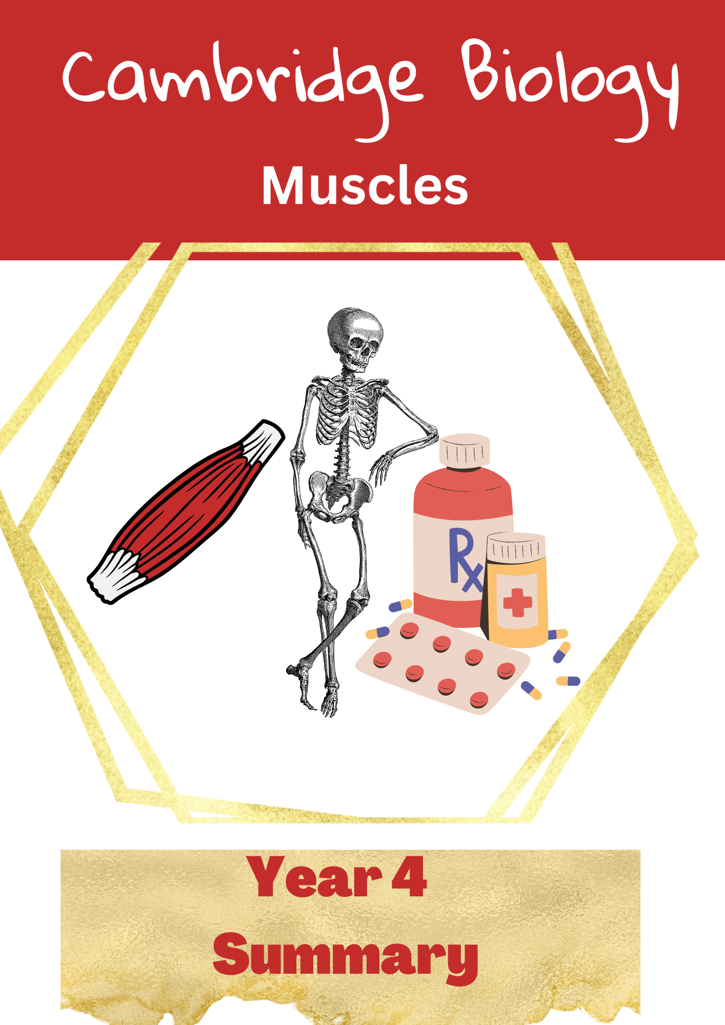 Science Y4 Biology Cambridge Study Notes (Skeleton,Medicines&Drugs ...