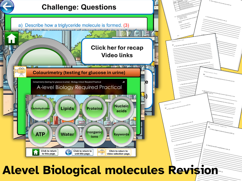 Biological molecules revision | Teaching Resources