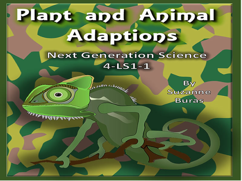 Plant And Animal Adaptations Teaching Resources