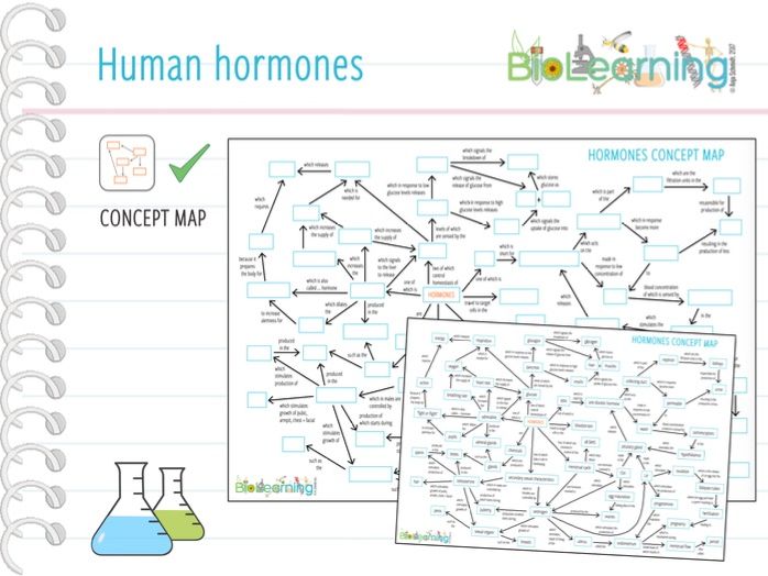 Human hormones - Concept map (KS4) | Teaching Resources