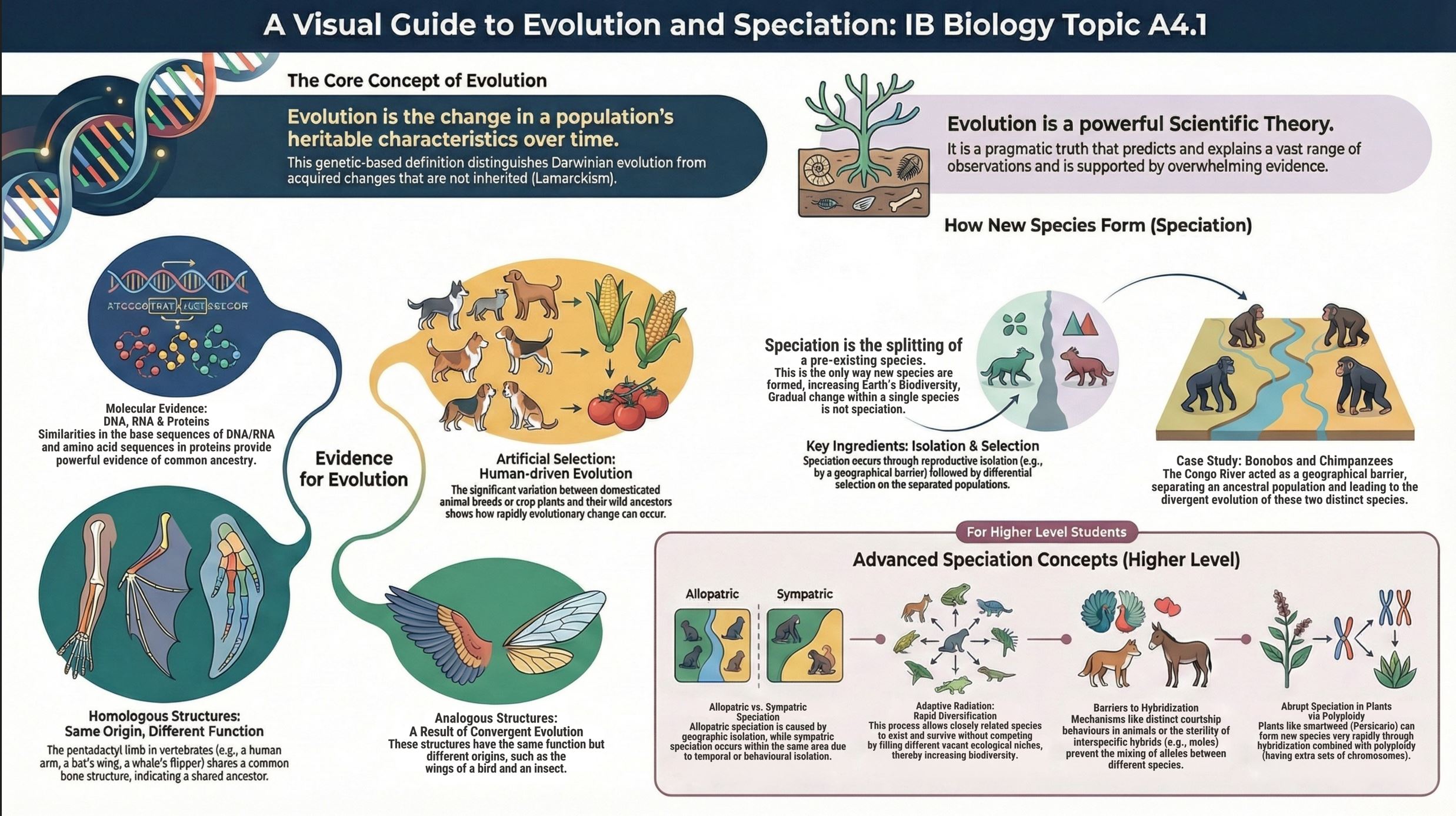 IB DP Biology Digital Infographic Poster: A4.1 Evolution and Speciation ...