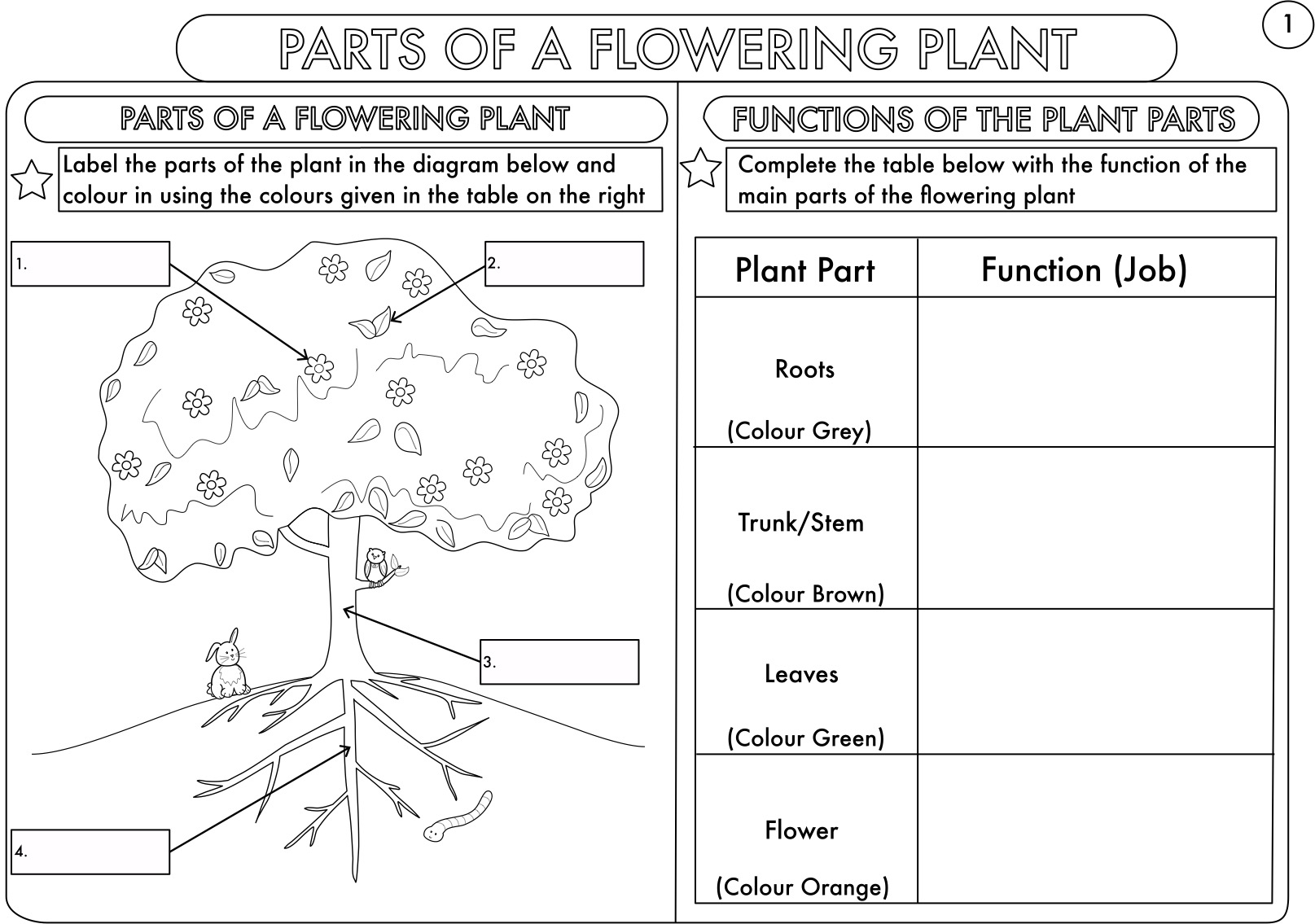 Worksheet Parts Of Plants Worksheet Grass Fedjp Worksheet Study Site