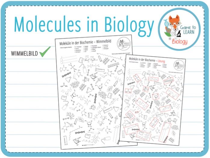 Molecules in A-level Biology - Hidden pictures (KS5) | Teaching Resources