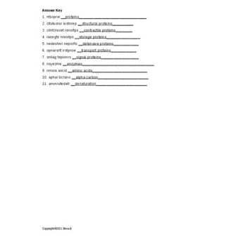 Proteins and Amino Acids in Food Science Word Scramble | Teaching Resources