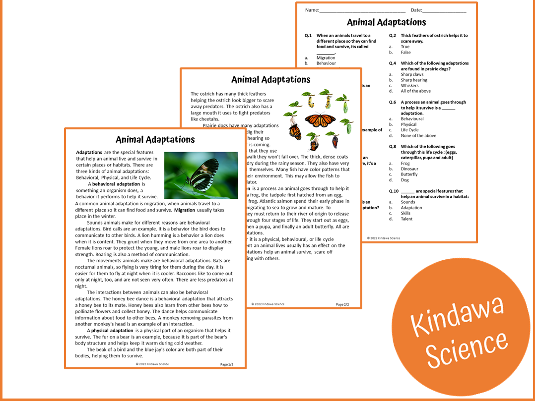Animal Adaptations Reading Comprehension Passage and Questions - PDF ...
