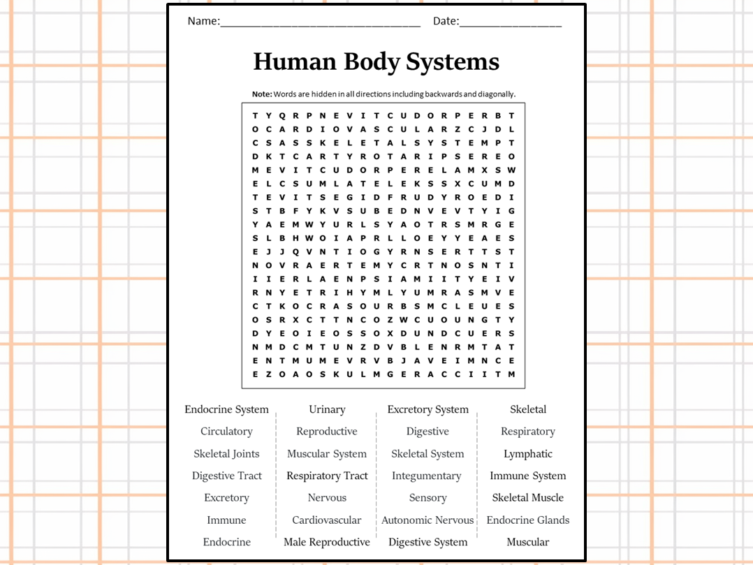 Human Body Systems Word Search Puzzle Worksheet Activity | Teaching ...