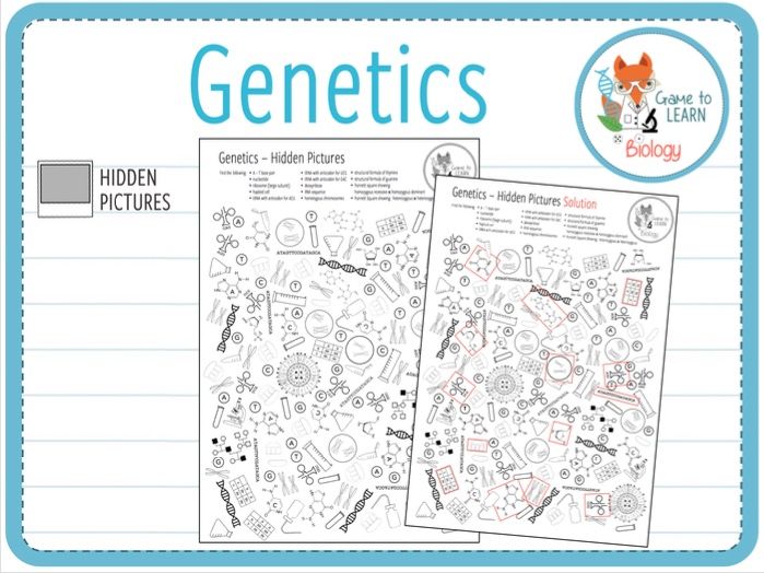 Biology Hidden Pictures - 7x Worksheets (KS3/4/5) | Teaching Resources