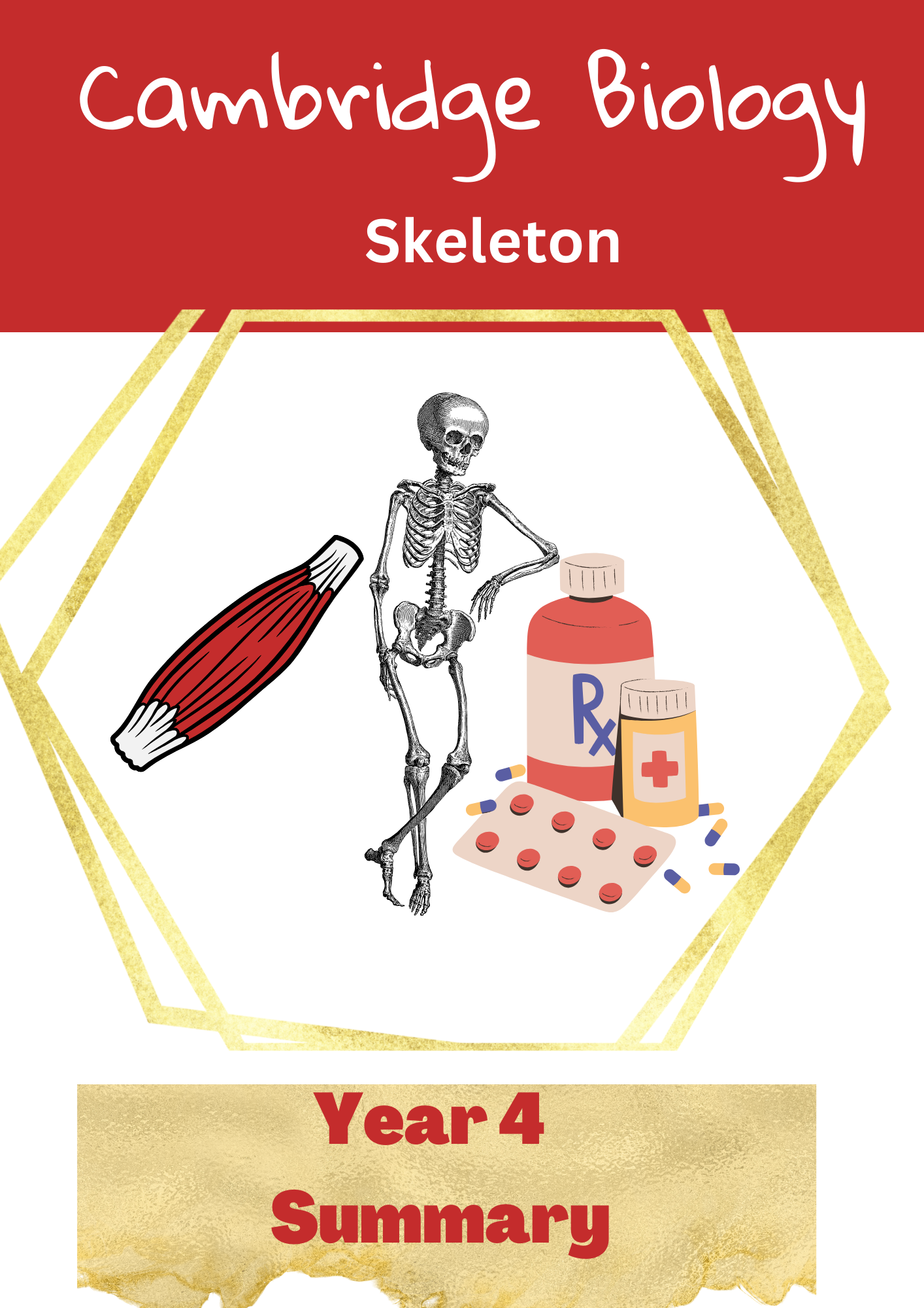 Science Y4 Biology Cambridge Study Notes (Skeleton,Medicines&Drugs ...