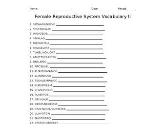 Female Reproductive System II Word Scramble for a Medical Terminology ...