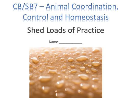 SB7 SLOP with answers | Teaching Resources