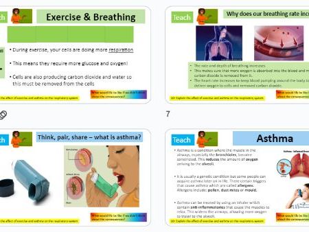 Asthma and exercise KS3 science | Teaching Resources