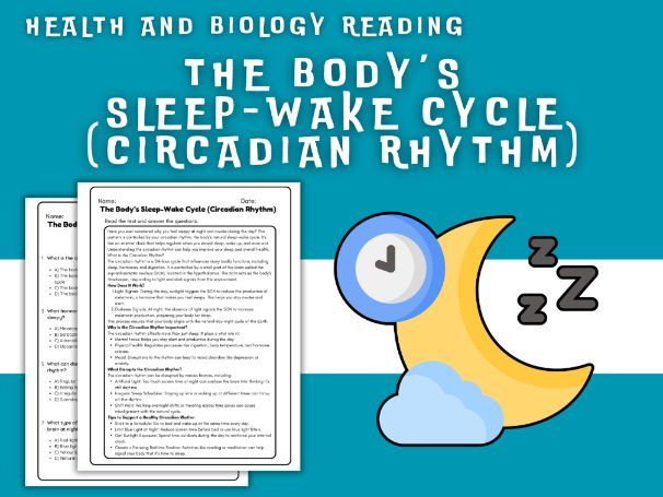 The Body’s Sleep-Wake Cycle - Health Reading Worksheet | Teaching Resources