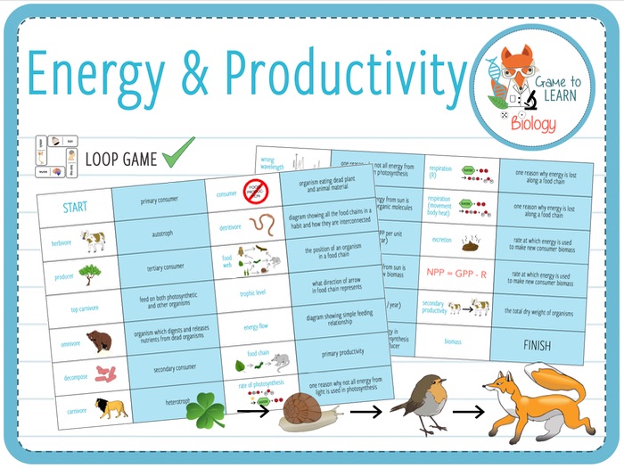 Energy and Productivity - Loop Game (KS5) | Teaching Resources
