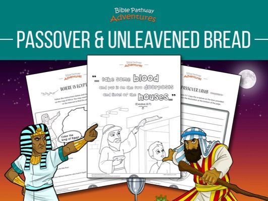 The Passover Story Activity Books BUNDLE | Teaching Resources
