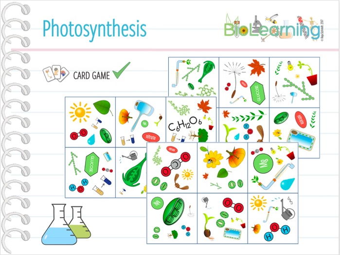 Photosynthesis - Card Game | Teaching Resources