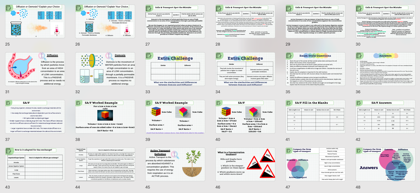 PPT - B1 Cells & Transport/ Full Version/ Biology Exam Revision/ AQA ...