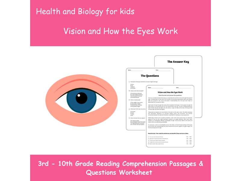 Vision and How the Eyes Work Reading Comprehension Passages & Questions ...