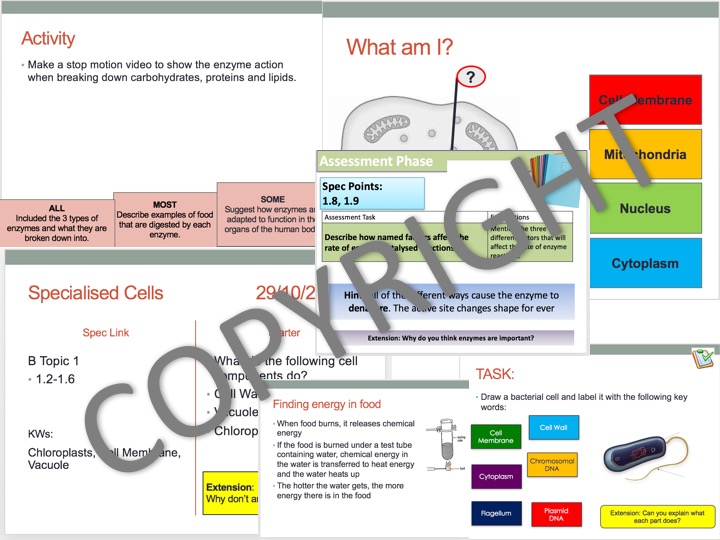 NEW Edexcel GCSE Biology (9-1) Topic 1 - Key Concepts in Biology ...
