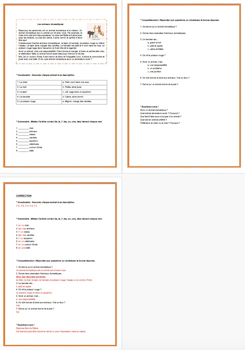 Reading (year 7 or 8 - grade6 or 7): Les animaux domestiques | Teaching ...