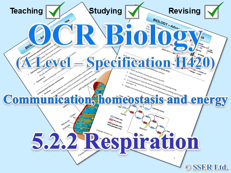 BIOA_OCR Topic Notes: 5.2.2 Respiration | Teaching Resources