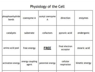 "Physiology of the Cell" Bingo set for a Zoology Course | Teaching ...